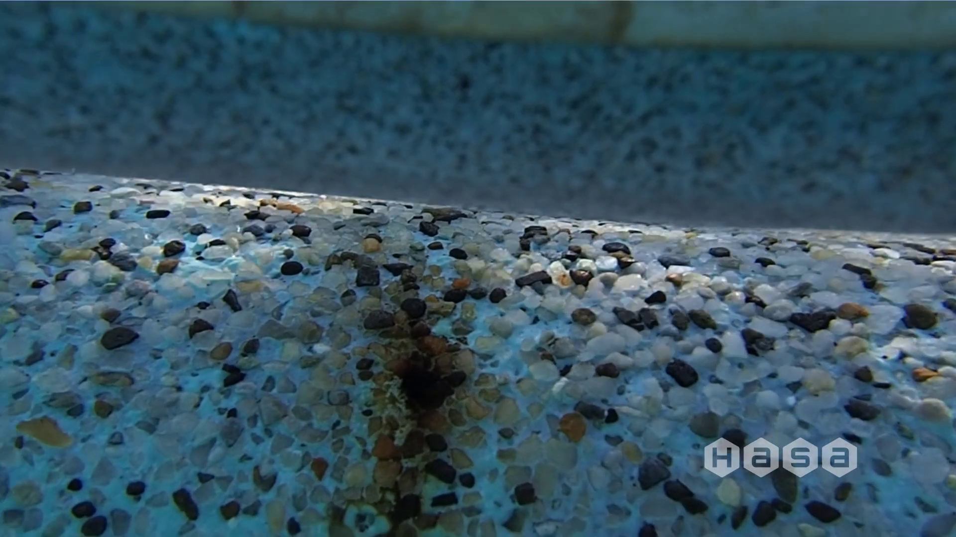 Algi-Ban | Video | HASA